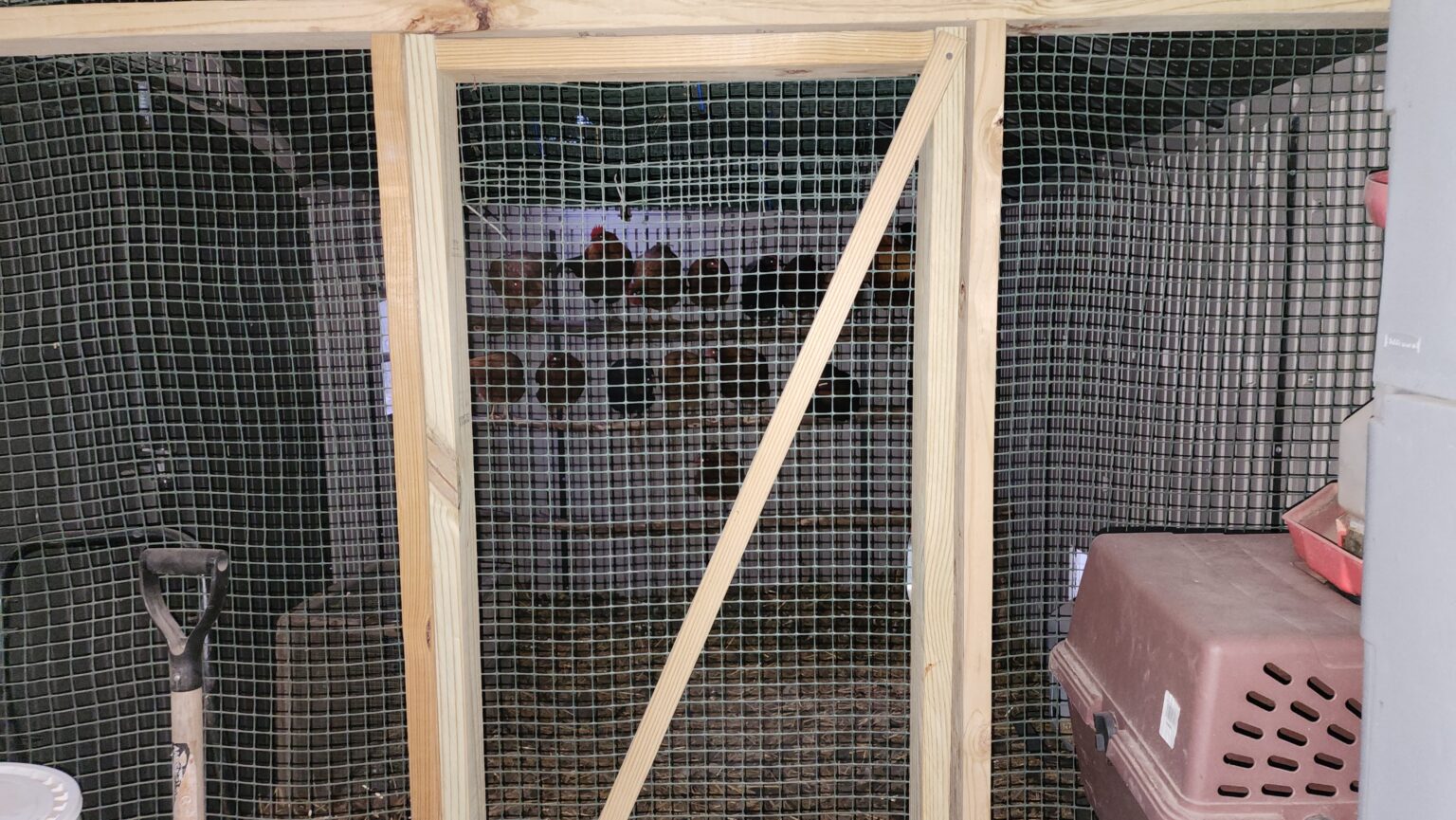 Installation of the chicken coop divider complete